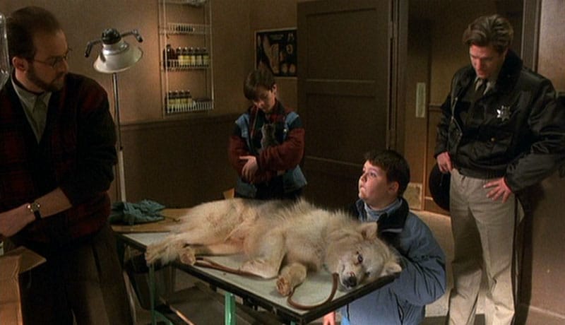 Cemitério Maldito 2: a continuação do clássico