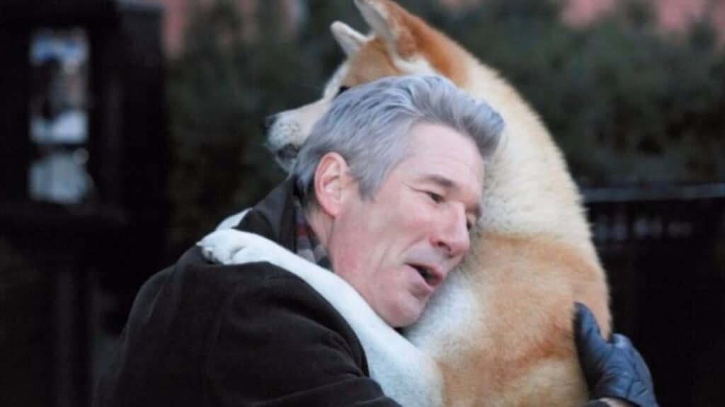 Sempre Ao Seu Lado tem na Netflix? Onde assistir online?