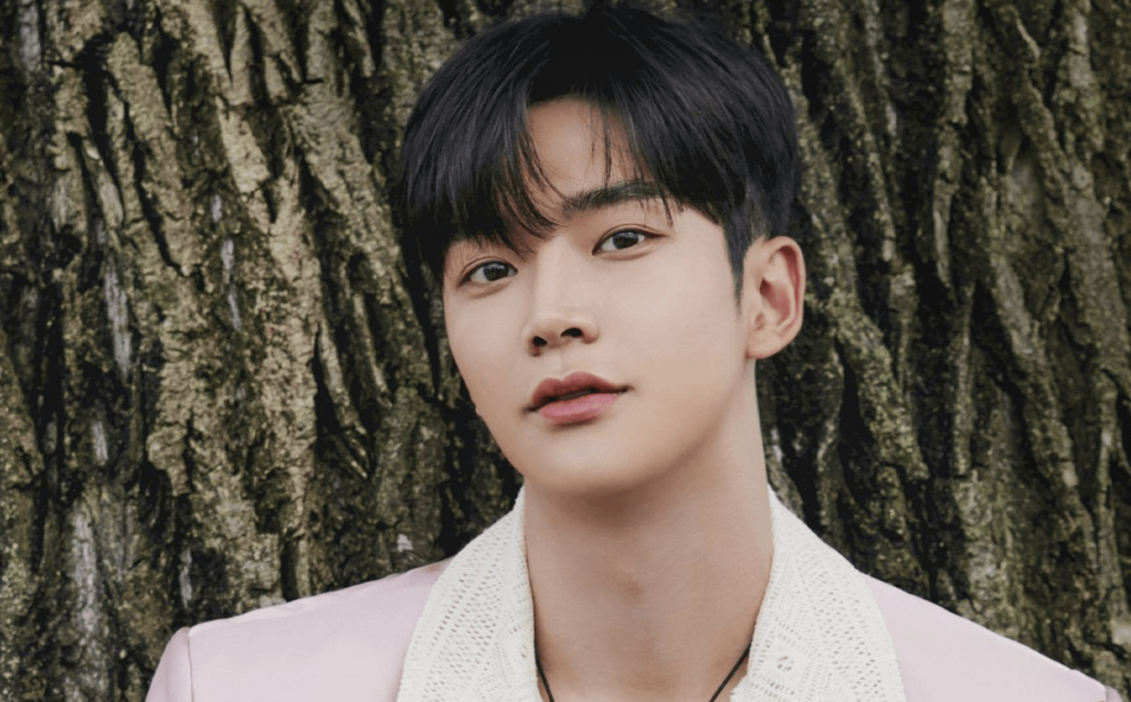Rowoon: séries com o cantor na Netflix