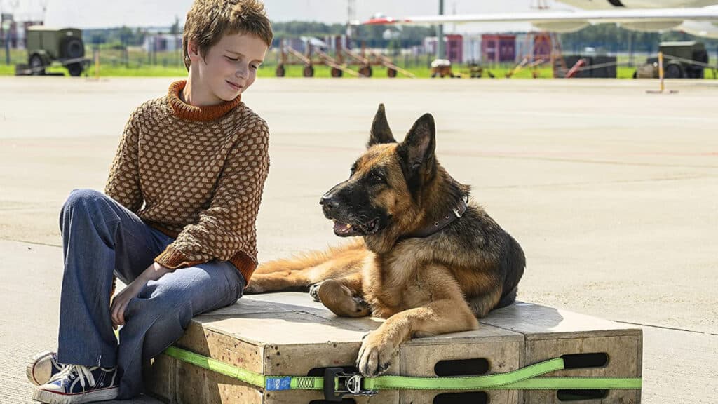 Minha Amiga Palma: o cachorro morre no final?