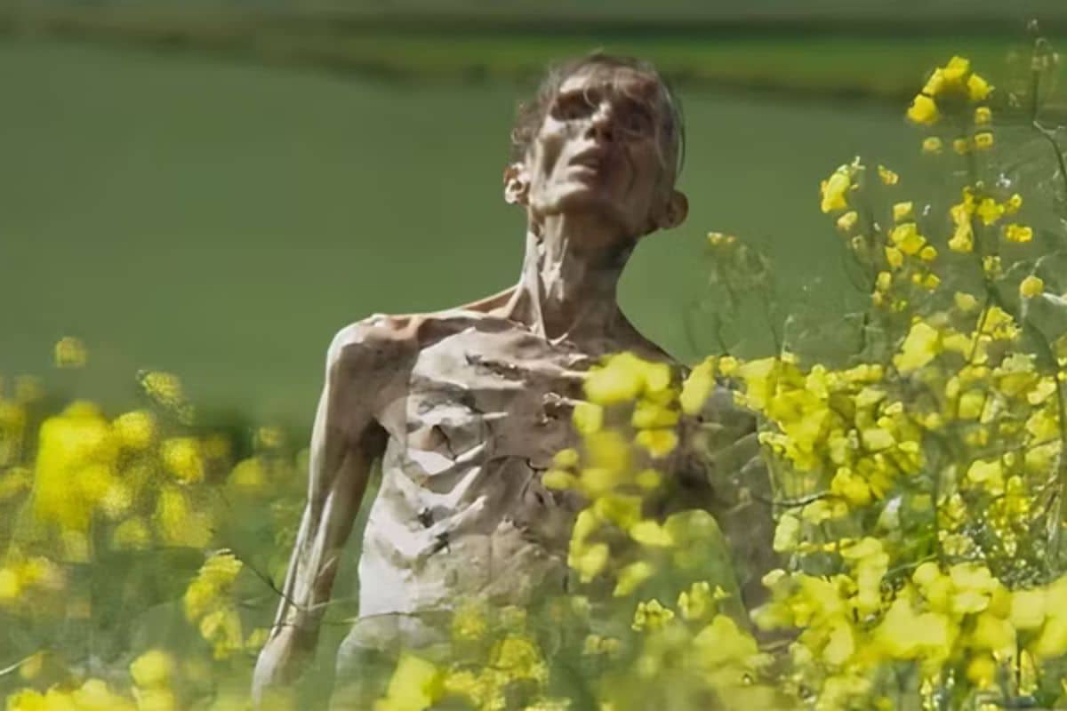 Extermínio 3: novo filme com Cillian Murphy foi gravado com iPhone